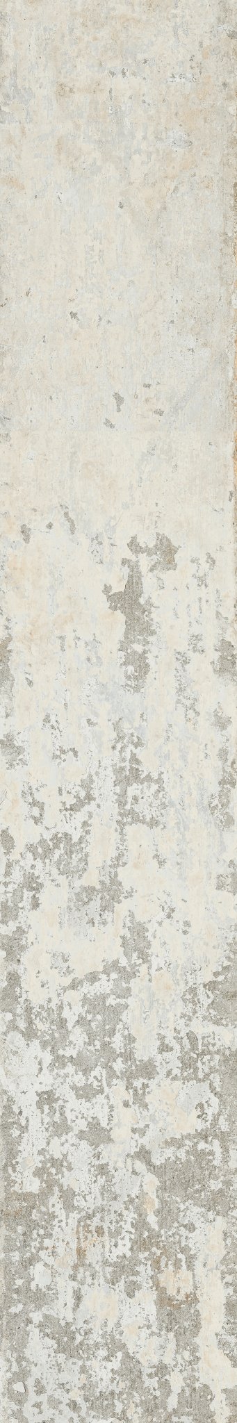 Urban Zebra Plaster Marks Porcelain Tile | Shop Tiles | Mississauga ...